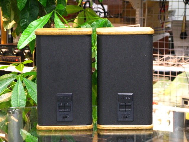 TESIMAL infinity - 中古オーディオ 高価買取・販売 ハイファイ堂