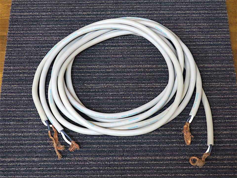 6N-S1040/3.0m ACROTEC - 中古オーディオ 高価買取・販売 ハイファイ堂