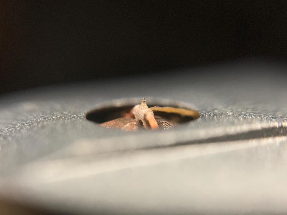 9C4 IKEDA - 中古オーディオ 高価買取・販売 ハイファイ堂